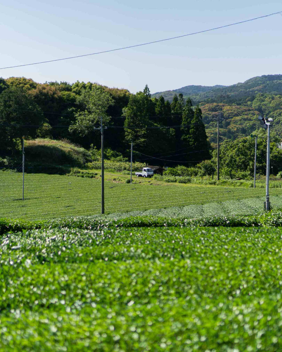 NORITUAL LAB - Finest Japanese Ceremonial Matcha – noritual lab